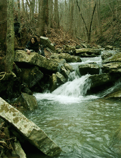 Brook GIF on GIFER - by Makasa