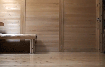 GIF infinite cat loop lolcats - animated GIF on GIFER - by Kazill