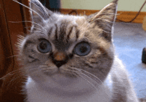 Nick jackson GIF on GIFER - by Nagor