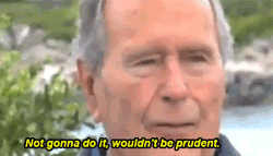 George bush GIF on GIFER - by Brightskin