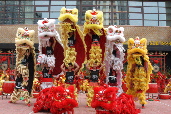 Lion GIF on GIFER - by Mashicage