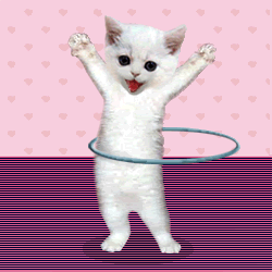 Party cat GIF on GIFER - by Silvermane