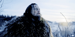 The revenant film leonardo dicaprio GIF on GIFER - by Golkis