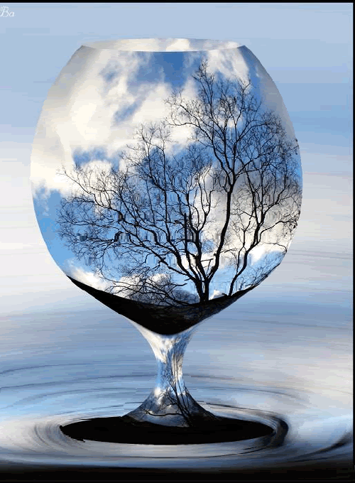 Trees GIF on GIFER - by Delatus