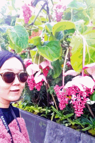 The bay GIF on GIFER - by Kalrajas