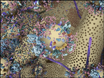 Biology GIF on GIFER - by Beazenadar