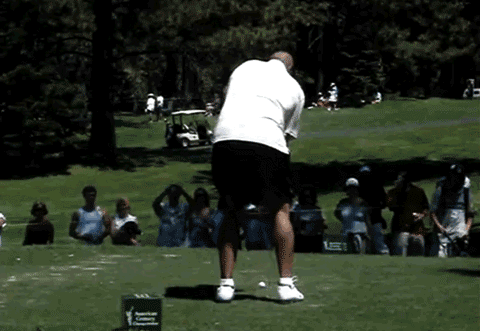 People win golf GIF on GIFER - by Modigelv