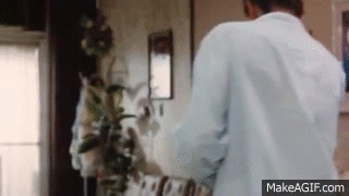 GIF paul rudd - animated GIF on GIFER - by Zugul