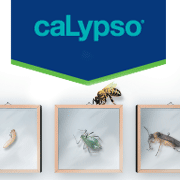 GIF calypso - animated GIF on GIFER - by Starbringer