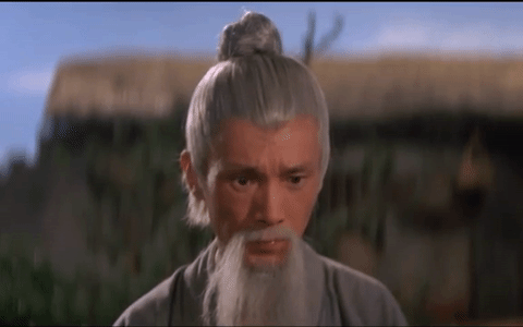 Martial arts kung fu GIF on GIFER - by Sirahelm