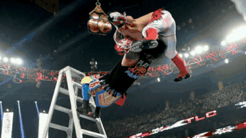 Wwe tlc GIF on GIFER - by Gall