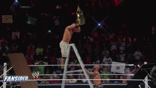 Wwe tlc GIF on GIFER - by Auriginn