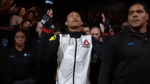 GIF ufc mma ufc 208 - animated GIF on GIFER - by Saberworker
