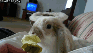 Julie Taylor And Tim Riggins