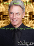 Anthony dinozzo GIF on GIFER - by Dothis