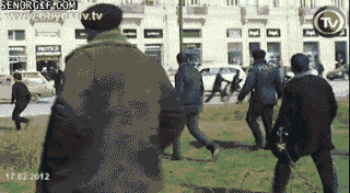 Animals wtf shopping GIF on GIFER - by Gardarn