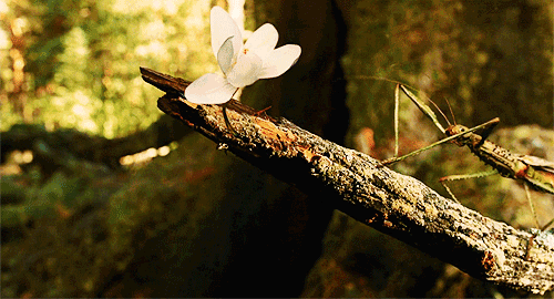 Del GIF on GIFER - by Andromand