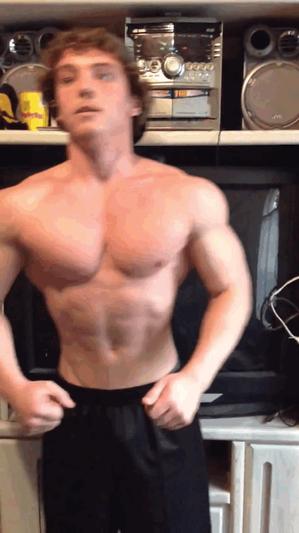 Muscle palumbo GIF on GIFER - by Yggath