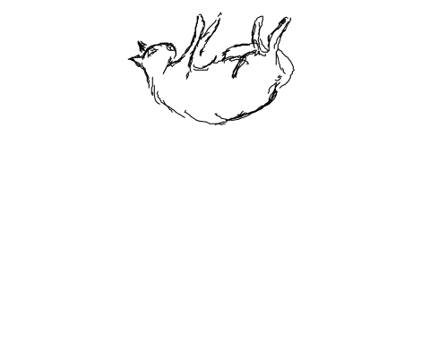 GIF transparent falling - animated GIF on GIFER - by Malagrel