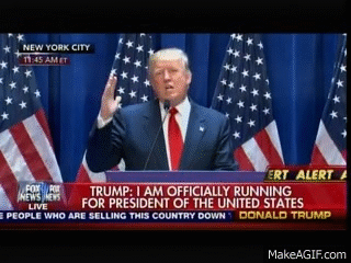 Donald trump GIF on GIFER - by Cendis