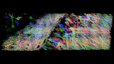 Nanoscience microscopy rna GIF on GIFER - by Ianrgas