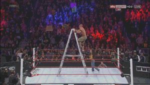 Wwe tlc GIF on GIFER - by Dianaswyn