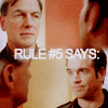 Anthony dinozzo GIF on GIFER - by Rainbourne