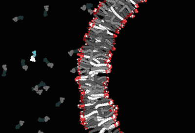 GIF science biology abiogenesis - animated GIF on GIFER - by Goltik