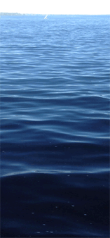 GIF ocean sea boat - animated GIF on GIFER - by Anayalhala