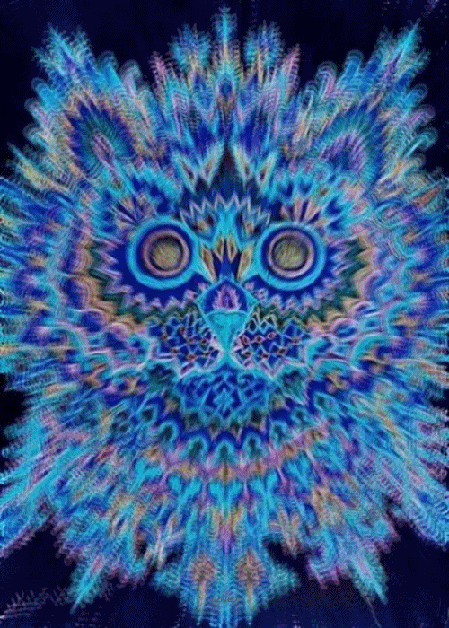 Owl marijuana color GIF on GIFER - by Aura