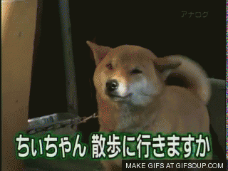 Tangled GIF on GIFER - by Ianzan