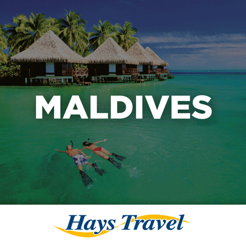 Travel hays travel destination GIF on GIFER - by Migul