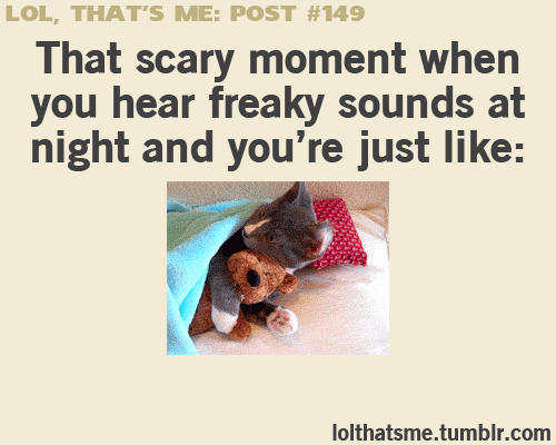 Cat night scary GIF on GIFER - by Anayalbine