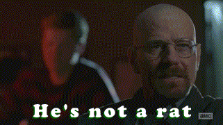 Walter white rat GIF on GIFER - by Bagamand