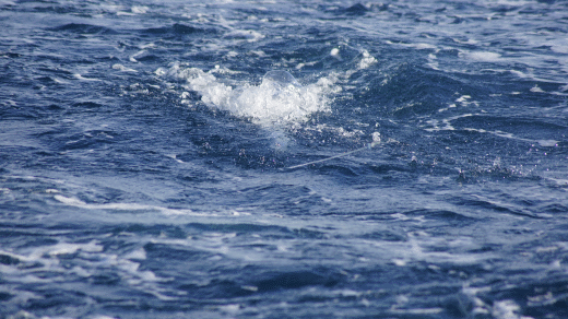 Waves GIF on GIFER - by Beafym
