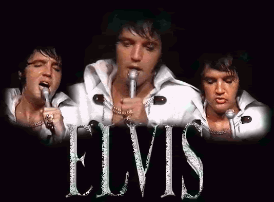 GIF elvis presley - animated GIF on GIFER - by Bunin