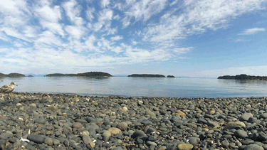 Water nature beach GIF on GIFER - by Burimand