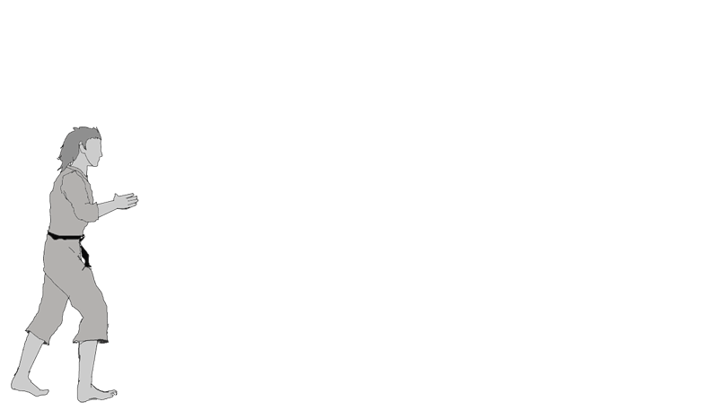 Martial arts GIF on GIFER - by Goltiramar