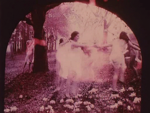 Forest dance nature GIF on GIFER - by Colv