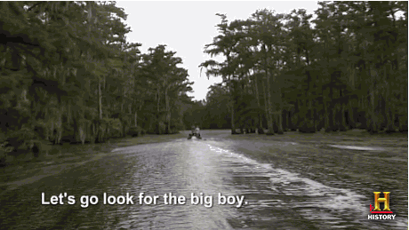History hunt boat GIF on GIFER - by Faugul