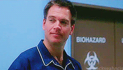 Anthony dinozzo GIF on GIFER - by Coiwyn