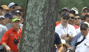 Sports golf jordan spieth GIF on GIFER - by Gagor