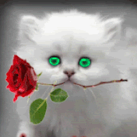Red GIF on GIFER - by Arashijinn