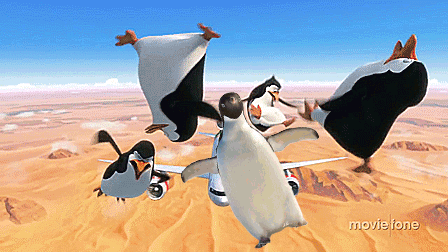 Penguin photoshop reddit GIF on GIFER - by Kiridwyn