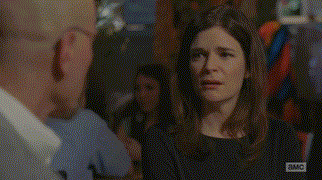 GIF breaking bad quote tv show - animated GIF on GIFER - by Rainsmasher