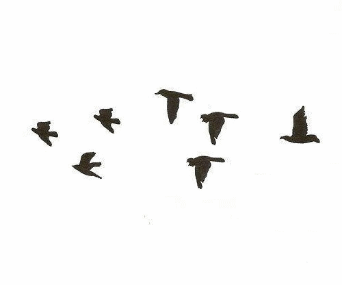 GIF inspiration black and white lame - animated GIF on GIFER - by Yosida