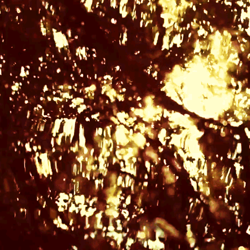 Water sunshine sunset GIF on GIFER - by Maulrajas