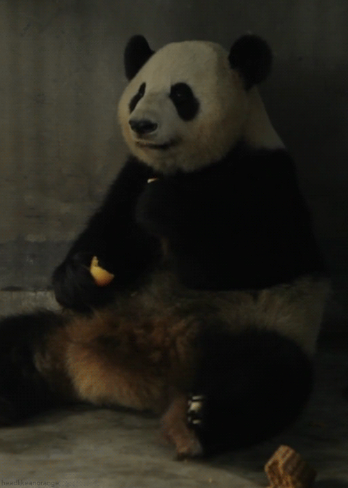 Design lab cartoon network colorful GIF on GIFER - by Salanim