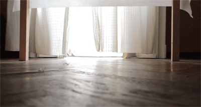 Curtain wind art GIF on GIFER - by Fenrirn