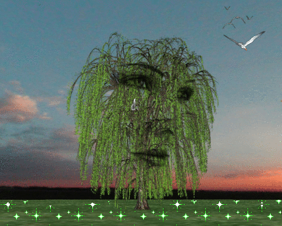 Trees GIF on GIFER - by Aurilace